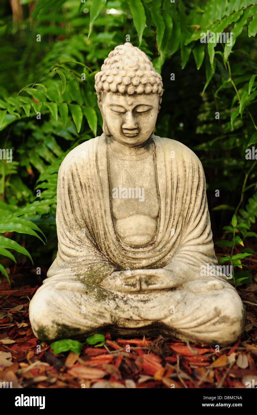 Buddha sitting in lotus position with ferns in the background Stock ...