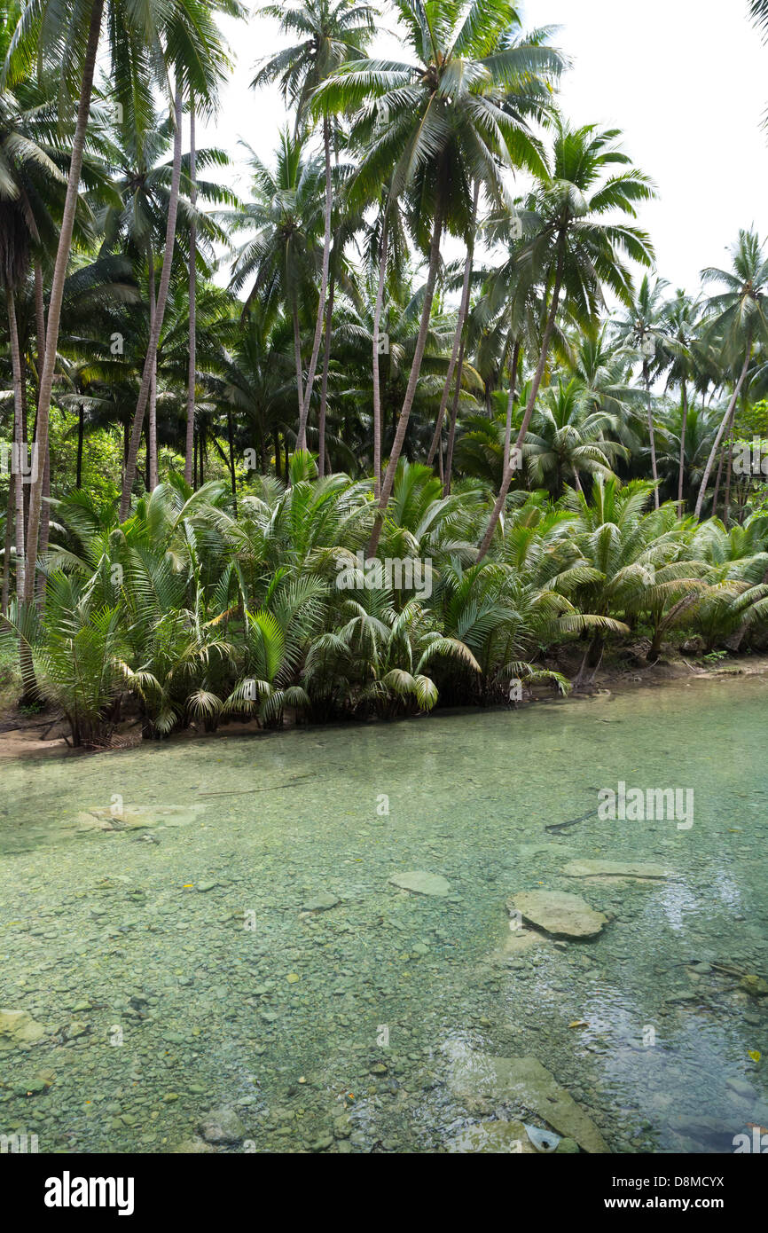 Creek leading up to the Kawasan Waterfalls in Badian on Cebu ...