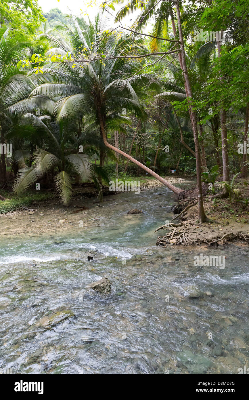 Creek leading up to the Kawasan Waterfalls in Badian on Cebu ...