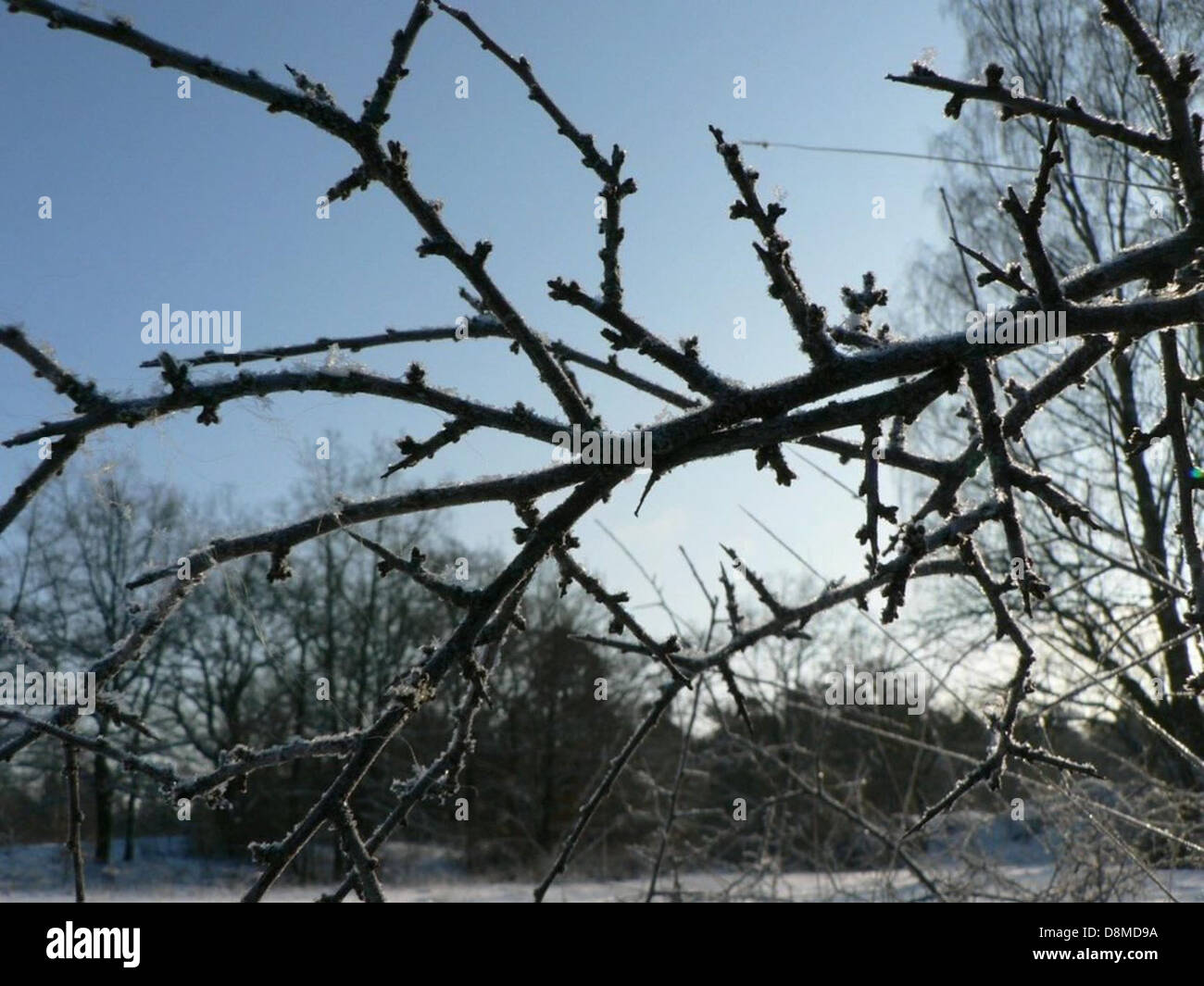 Frostbitten hi-res stock photography and images - Alamy