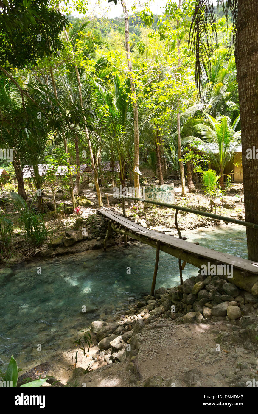 Bridge over the Creek leading up to the Kawasan Waterfalls in Badian on ...