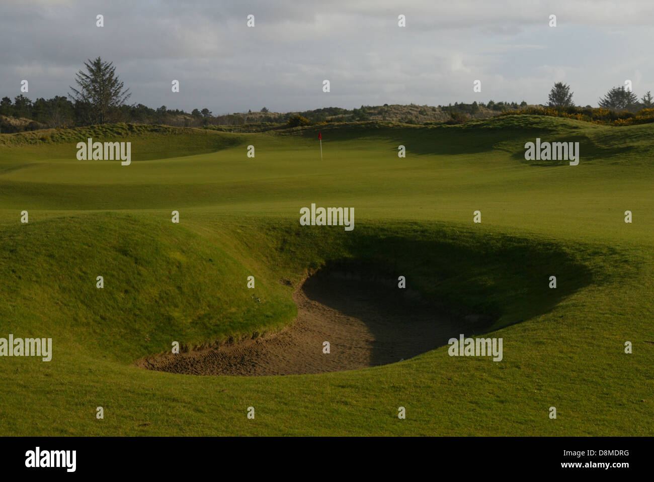 Deep golf sand trap hi-res stock photography and images - Alamy