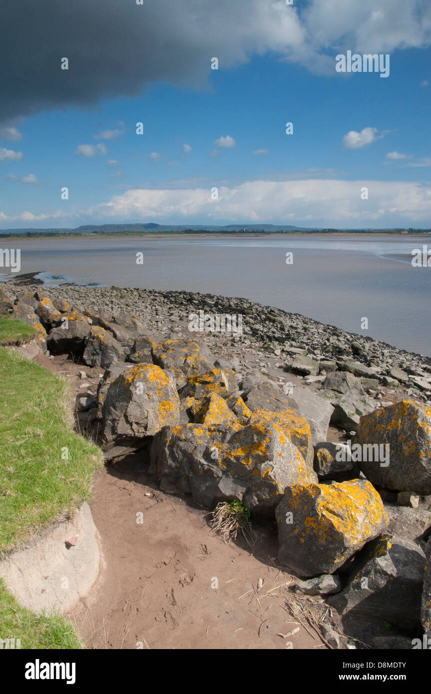 River Severn, flood defences, rocks, boulders,grass bank, mud, lichen ...