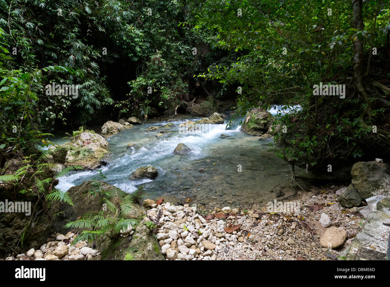 Creek leading up to the Kawasan Waterfalls in Badian on Cebu ...