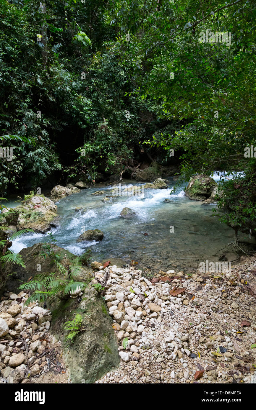 Creek leading up to the Kawasan Waterfalls in Badian on Cebu ...