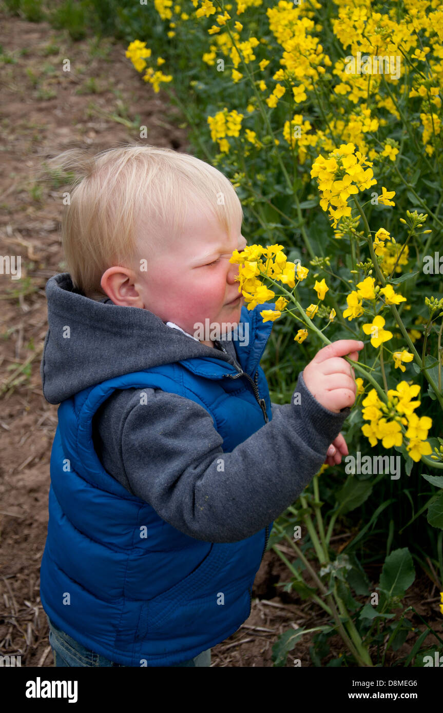 Lovely smelling hi-res stock photography and images - Alamy