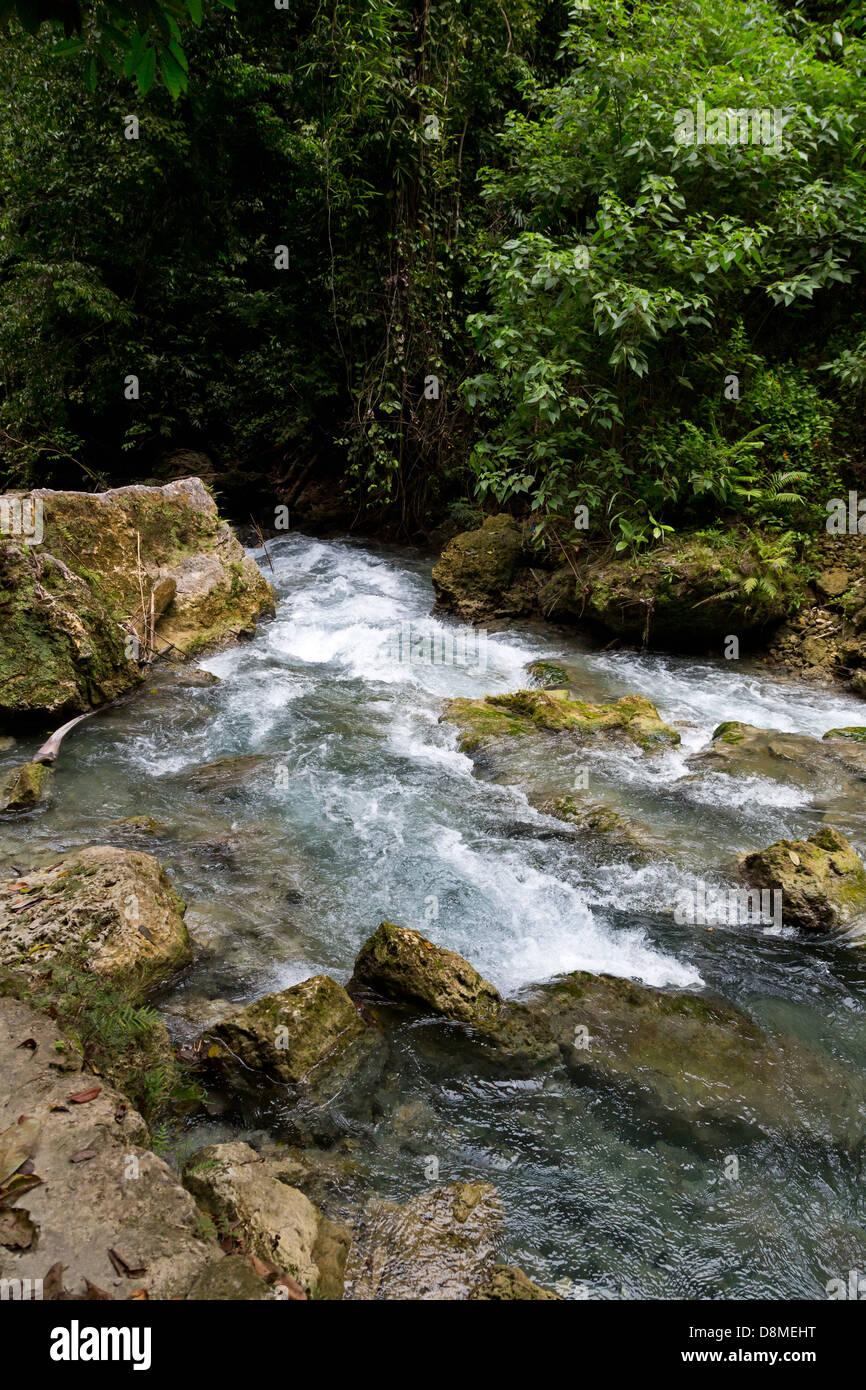 Creek leading up to the Kawasan Waterfalls in Badian on Cebu ...