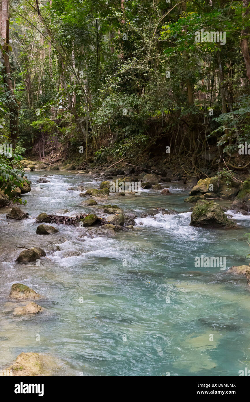 Creek leading up to the Kawasan Waterfalls in Badian on Cebu ...