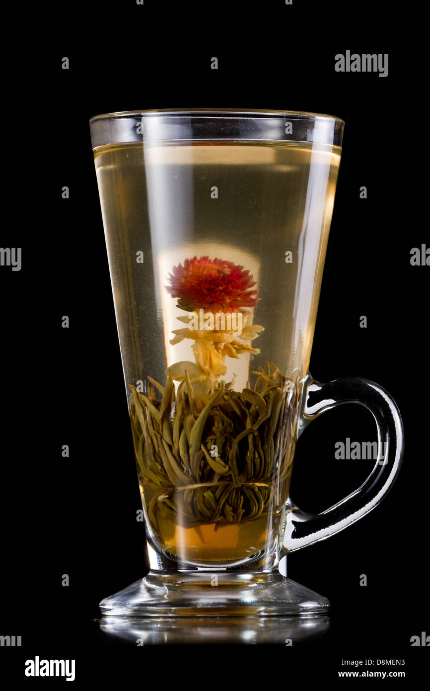 flowering, green tea served in a tall glass mug isolated on a black ...