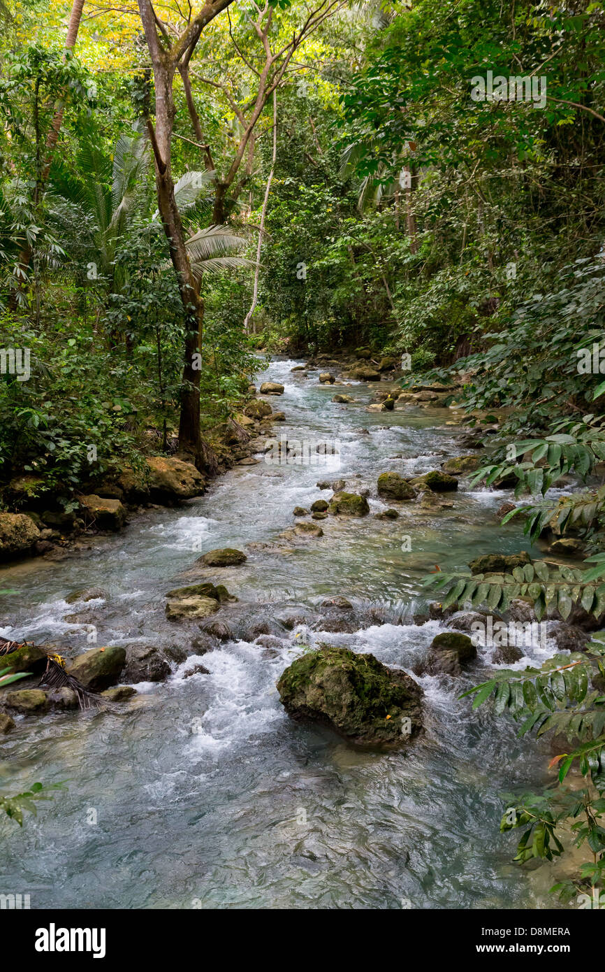 Creek leading up to the Kawasan Waterfalls in Badian on Cebu ...