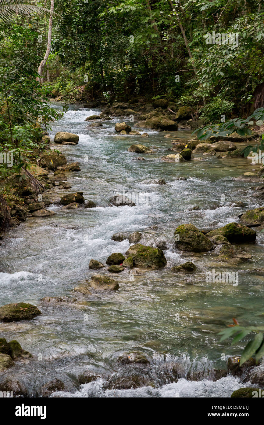 Creek leading up to the Kawasan Waterfalls in Badian on Cebu ...