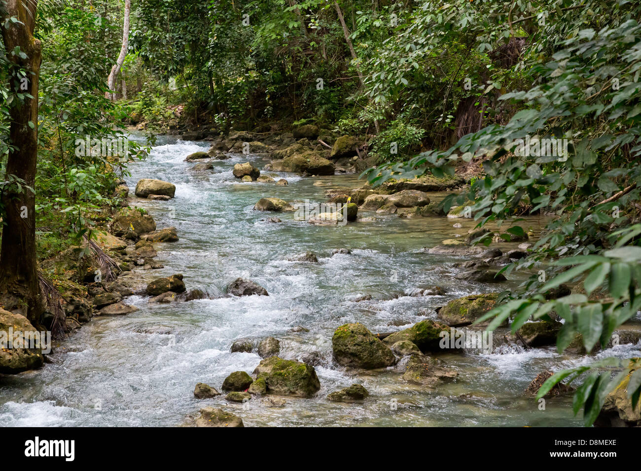 Creek leading up to the Kawasan Waterfalls in Badian on Cebu ...