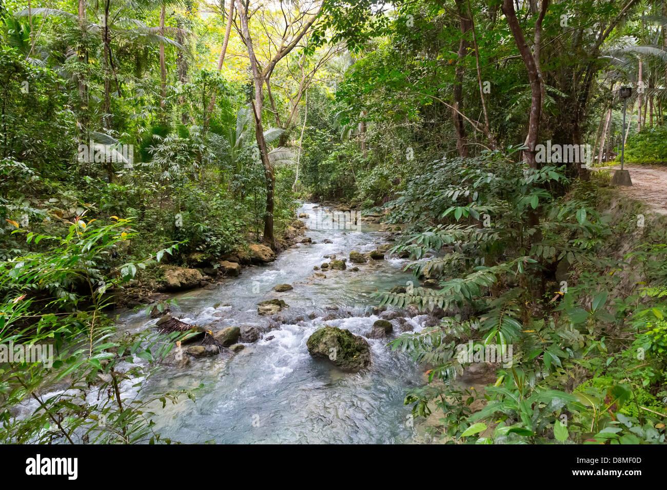 Creek leading up to the Kawasan Waterfalls in Badian on Cebu ...