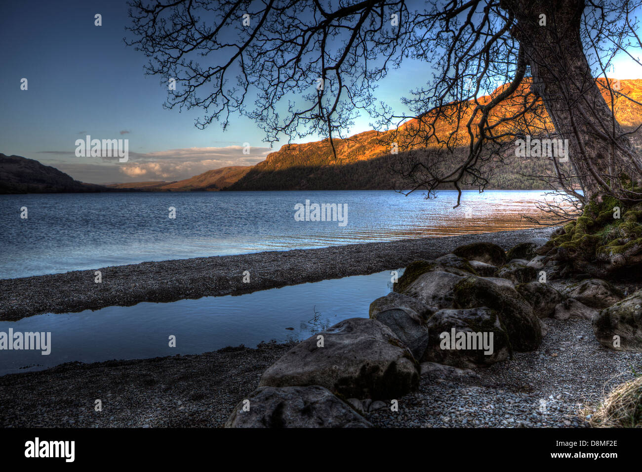 Roots and Rocks Stock Photo - Alamy