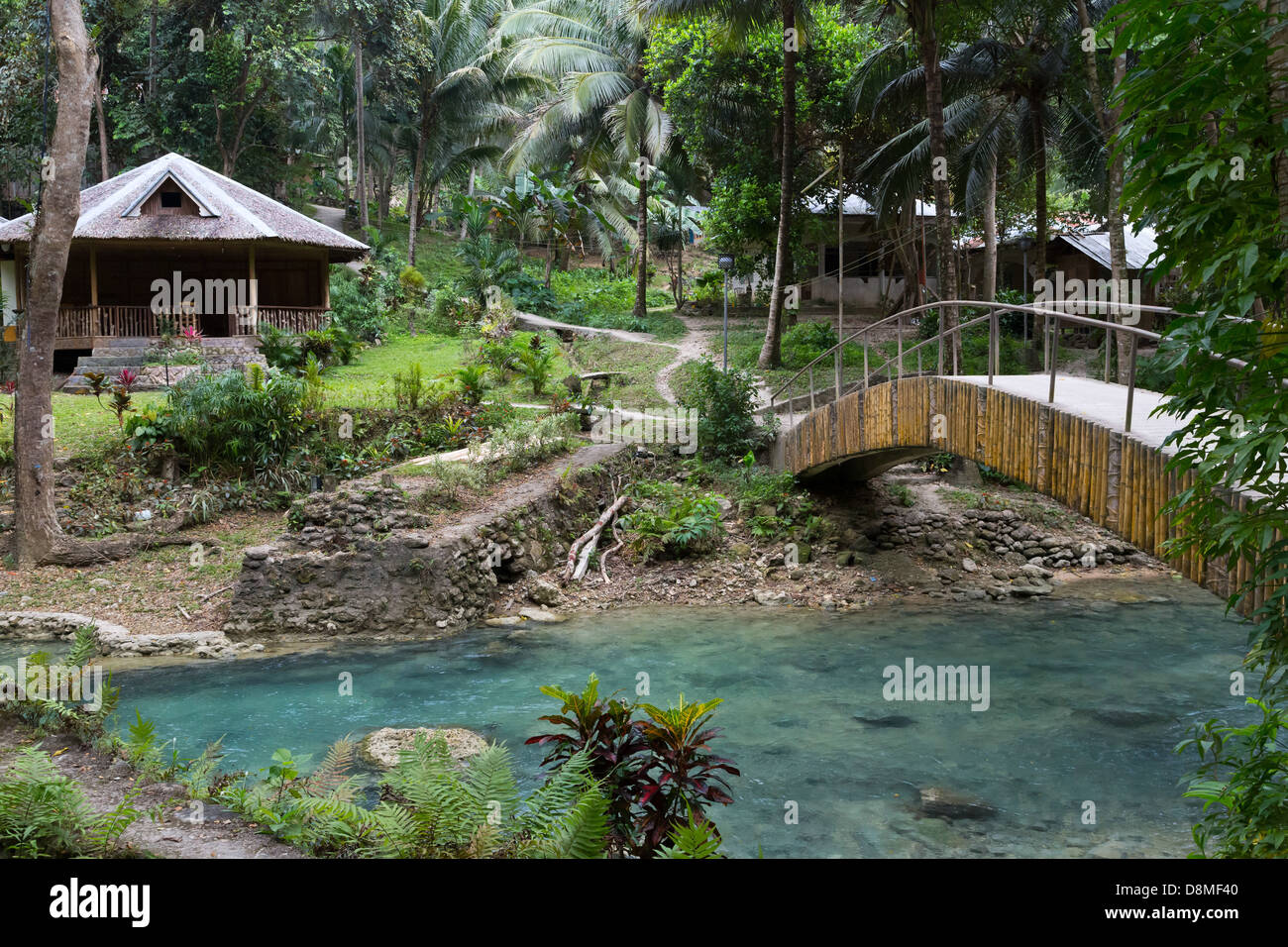 Bridge over the Creek leading up to the Kawasan Waterfalls in Badian on ...