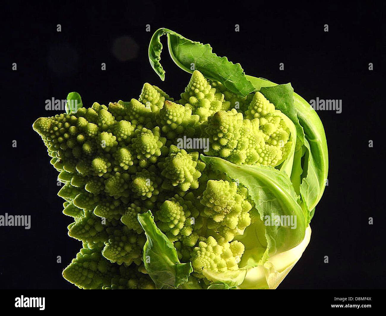 A close-up image of Romanesco broccoli, showcasing its unique fractal ...