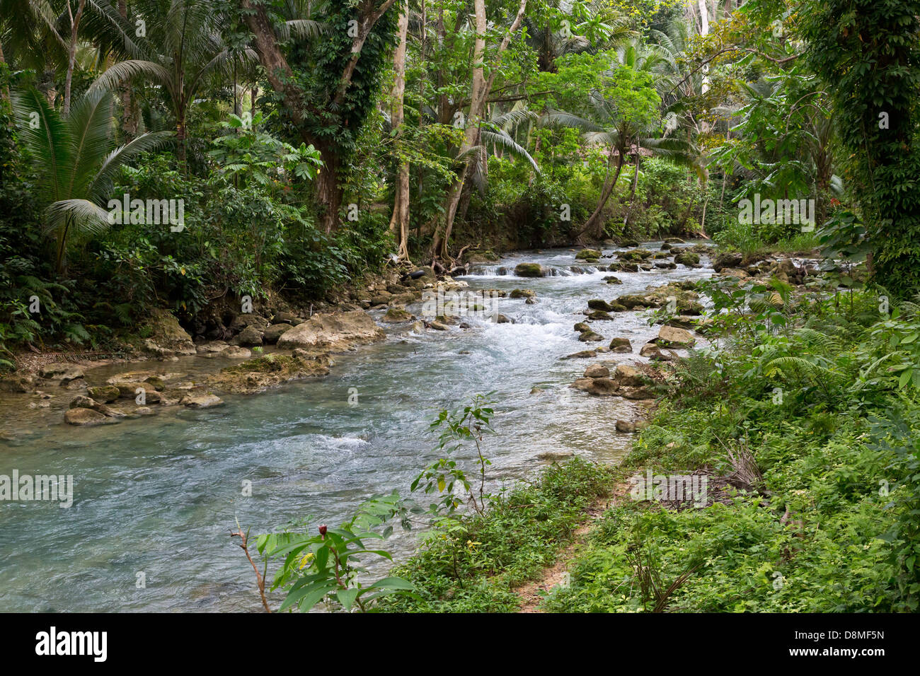 Creek leading up to the Kawasan Waterfalls in Badian on Cebu ...