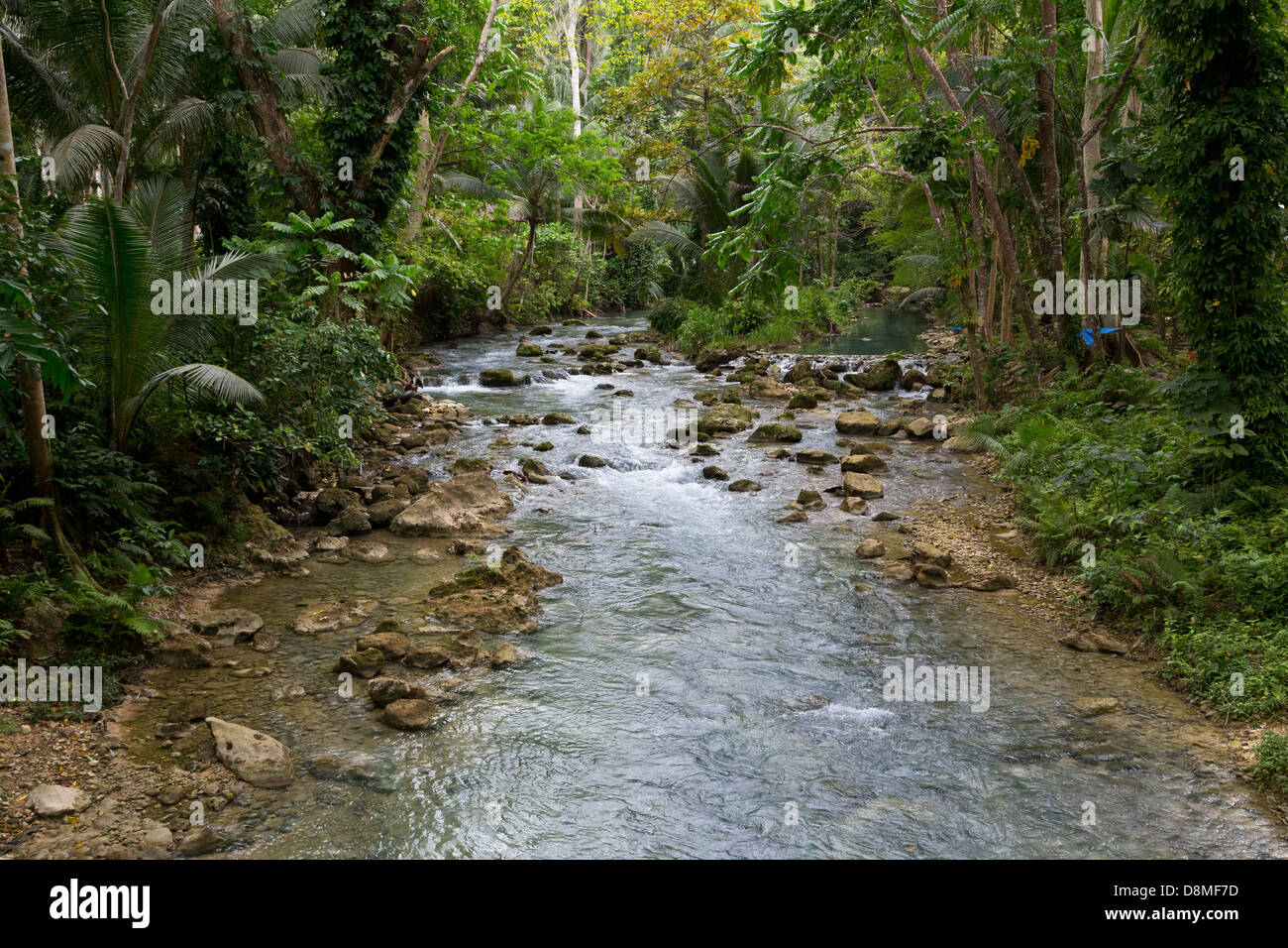 Creek leading up to the Kawasan Waterfalls in Badian on Cebu ...