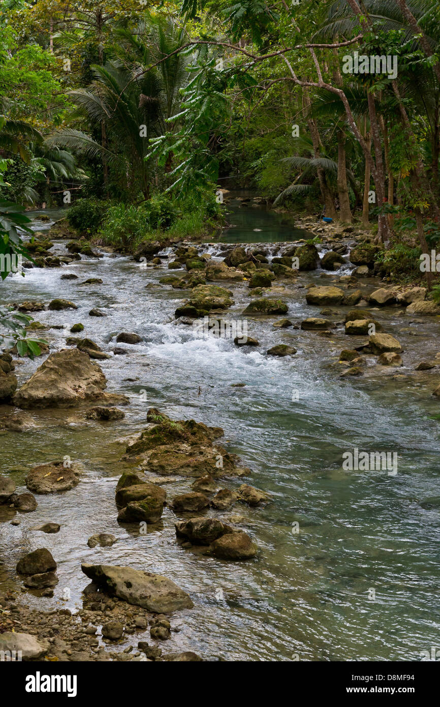 Creek leading up to the Kawasan Waterfalls in Badian on Cebu ...