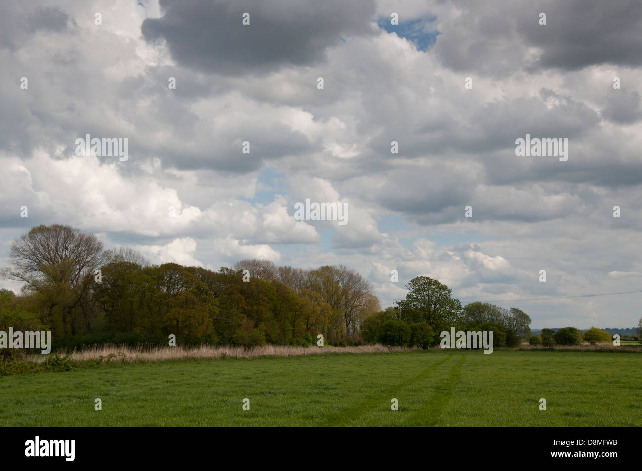 skyscape, cloudscape,landscape, trees,Springtime,rural scene,field ...
