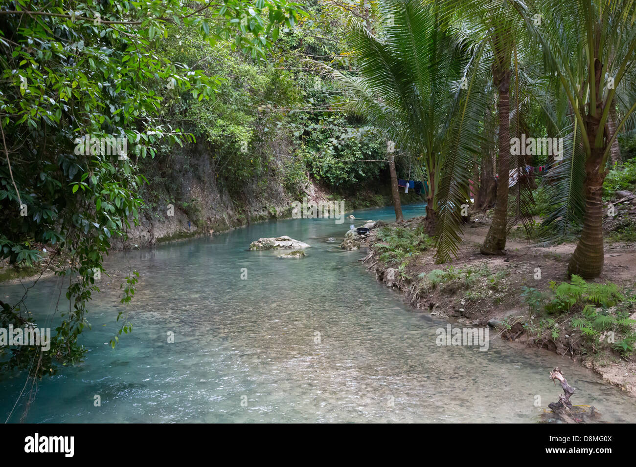 Creek leading up to the Kawasan Waterfalls in Badian on Cebu ...