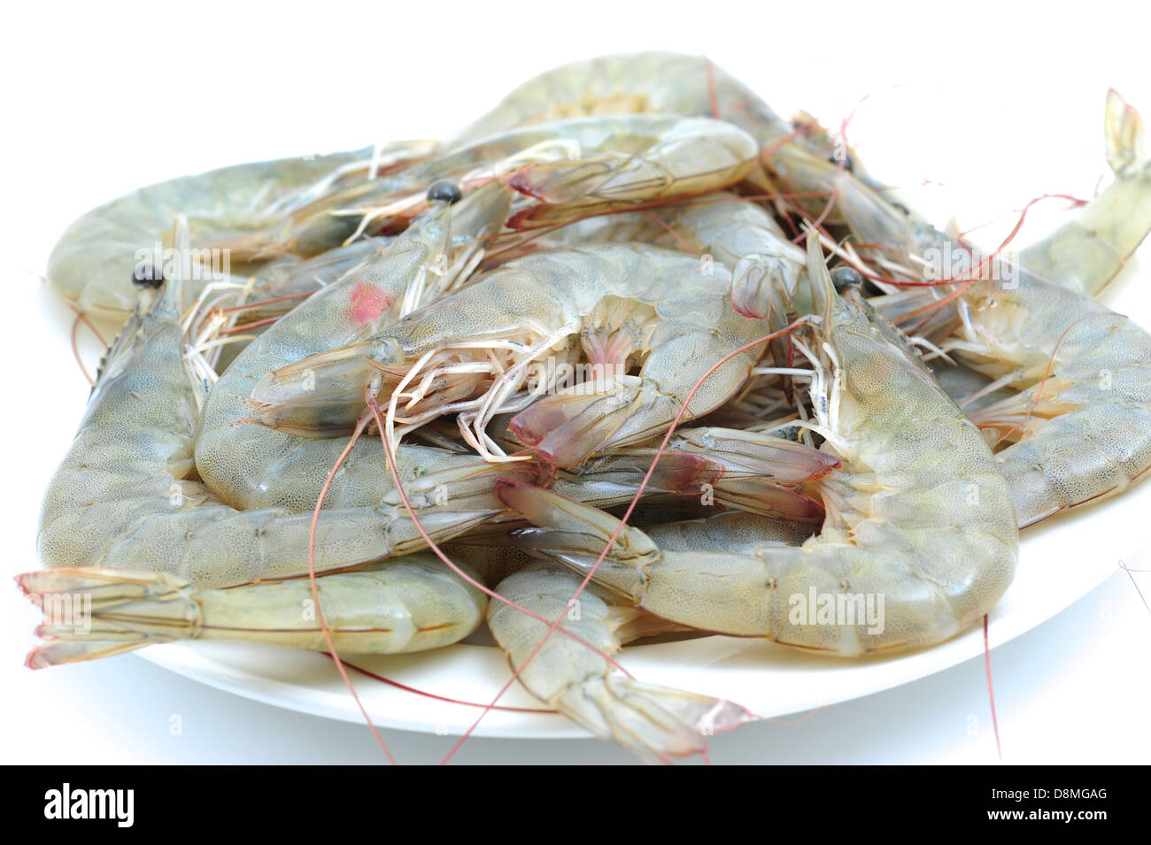 Prawns and shrimps hi-res stock photography and images - Alamy