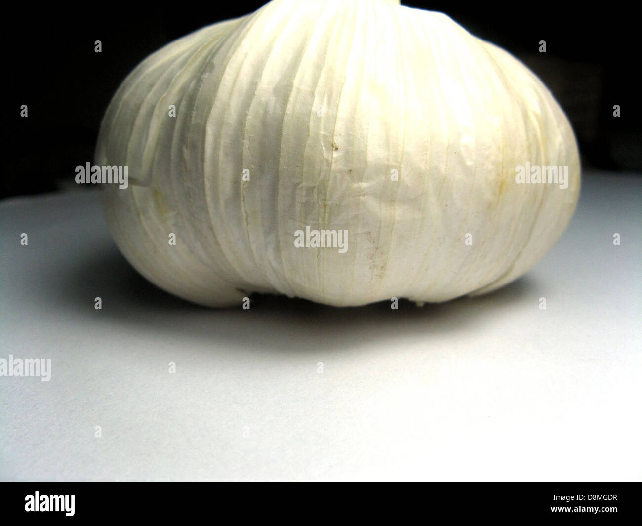 A close-up image of fresh white garlic bulbs. The bulbs are surrounded ...