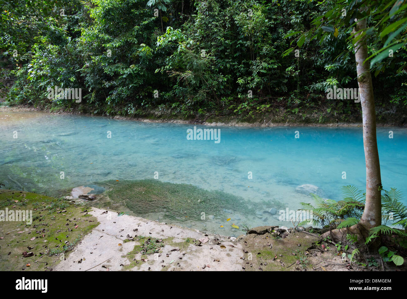 Creek leading up to the Kawasan Waterfalls in Badian on Cebu ...