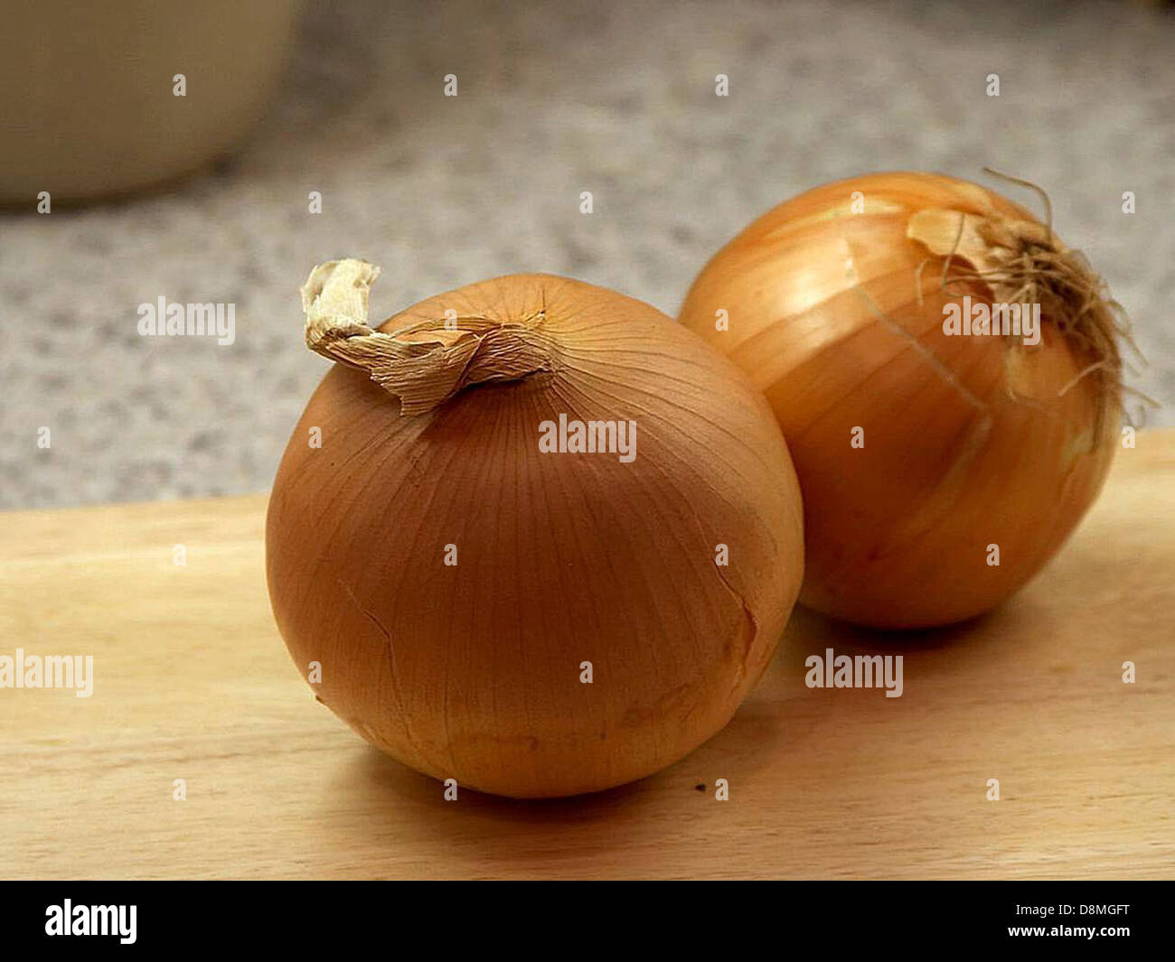 Yellow onions, a common vegetable, are displayed showcasing their round ...