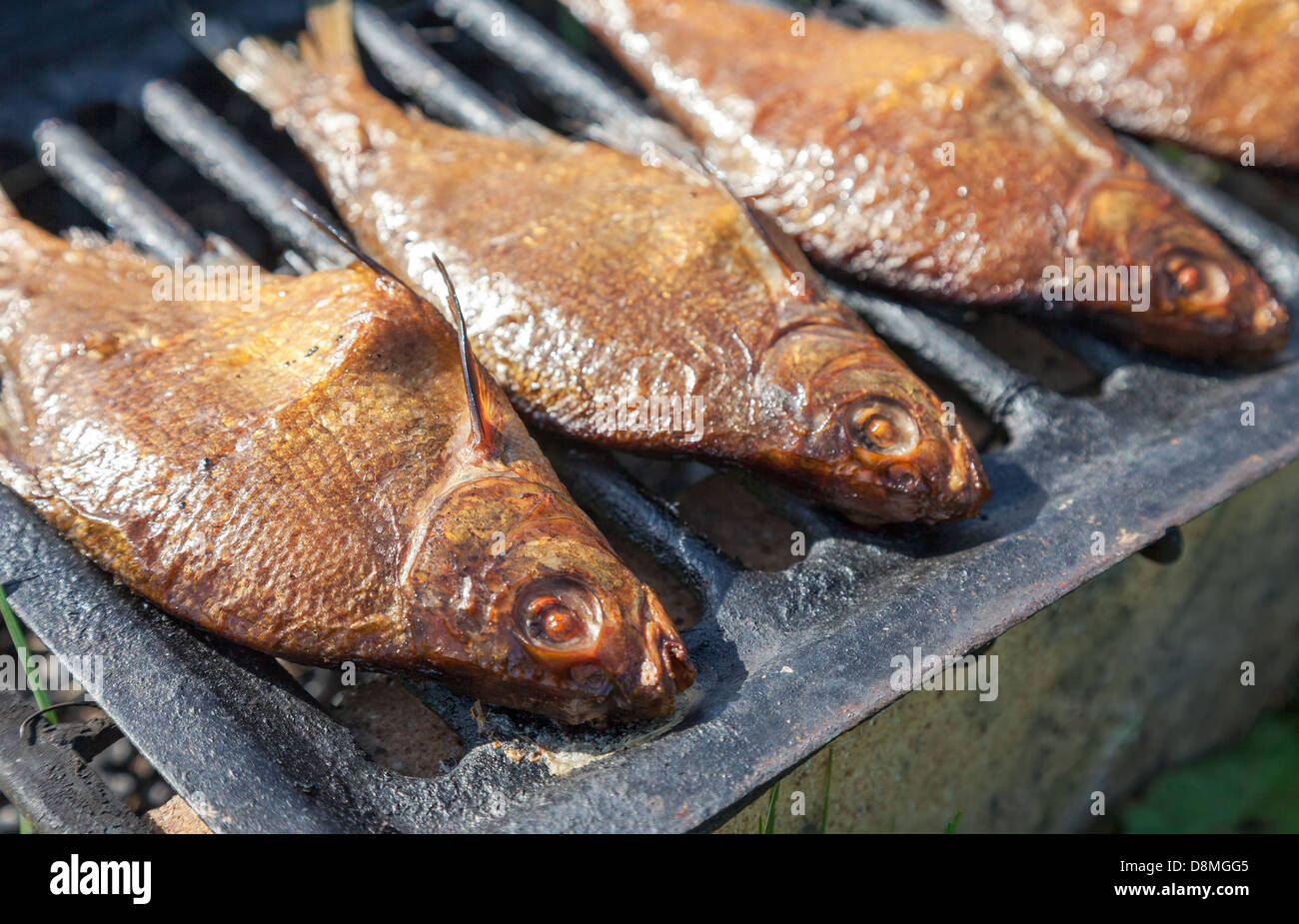 Just smoked fresh fish caught in the river Stock Photo - Alamy