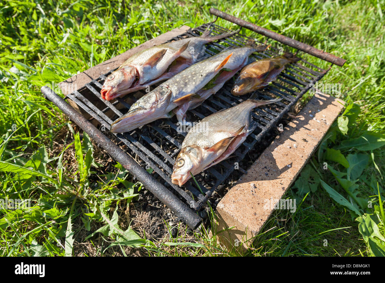 Pike smoking hi-res stock photography and images - Alamy