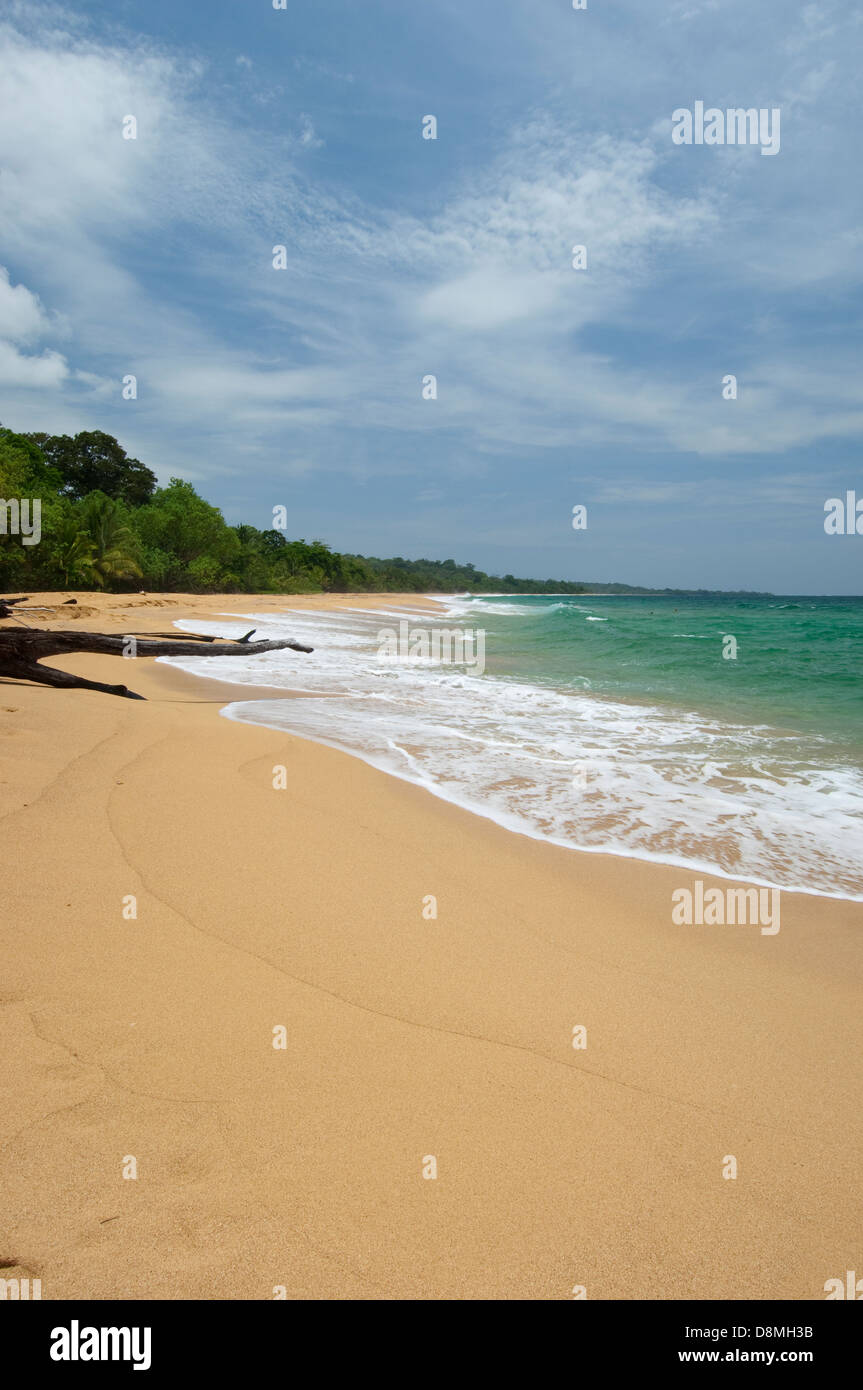 White sands and forest at Bluff Beach in Colon Island Stock Photo - Alamy