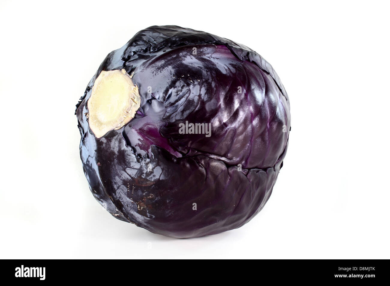Cabbage salat hi-res stock photography and images - Alamy
