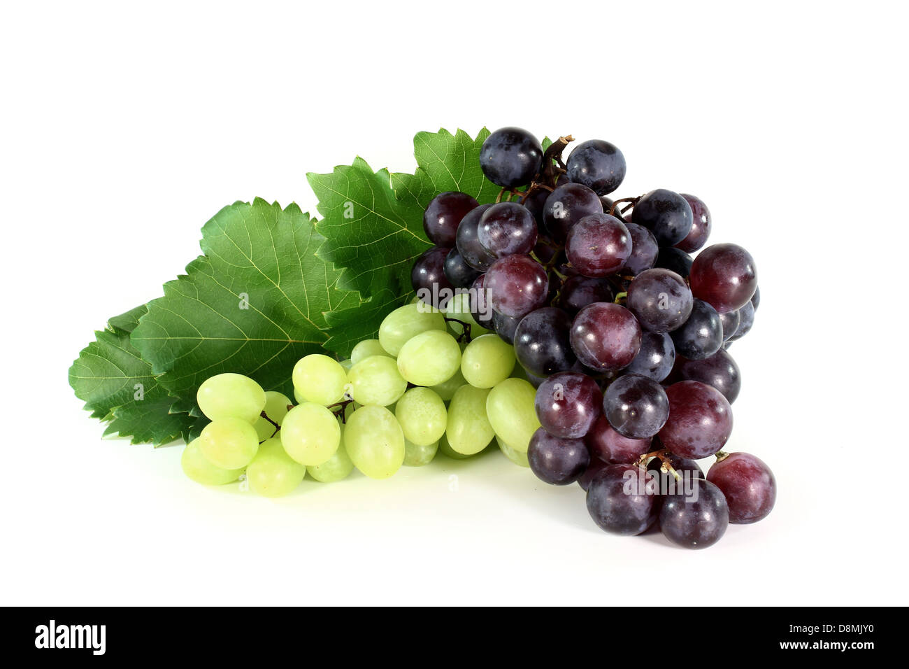 Weintrauben herbst Cut Out Stock Images & Pictures - Alamy