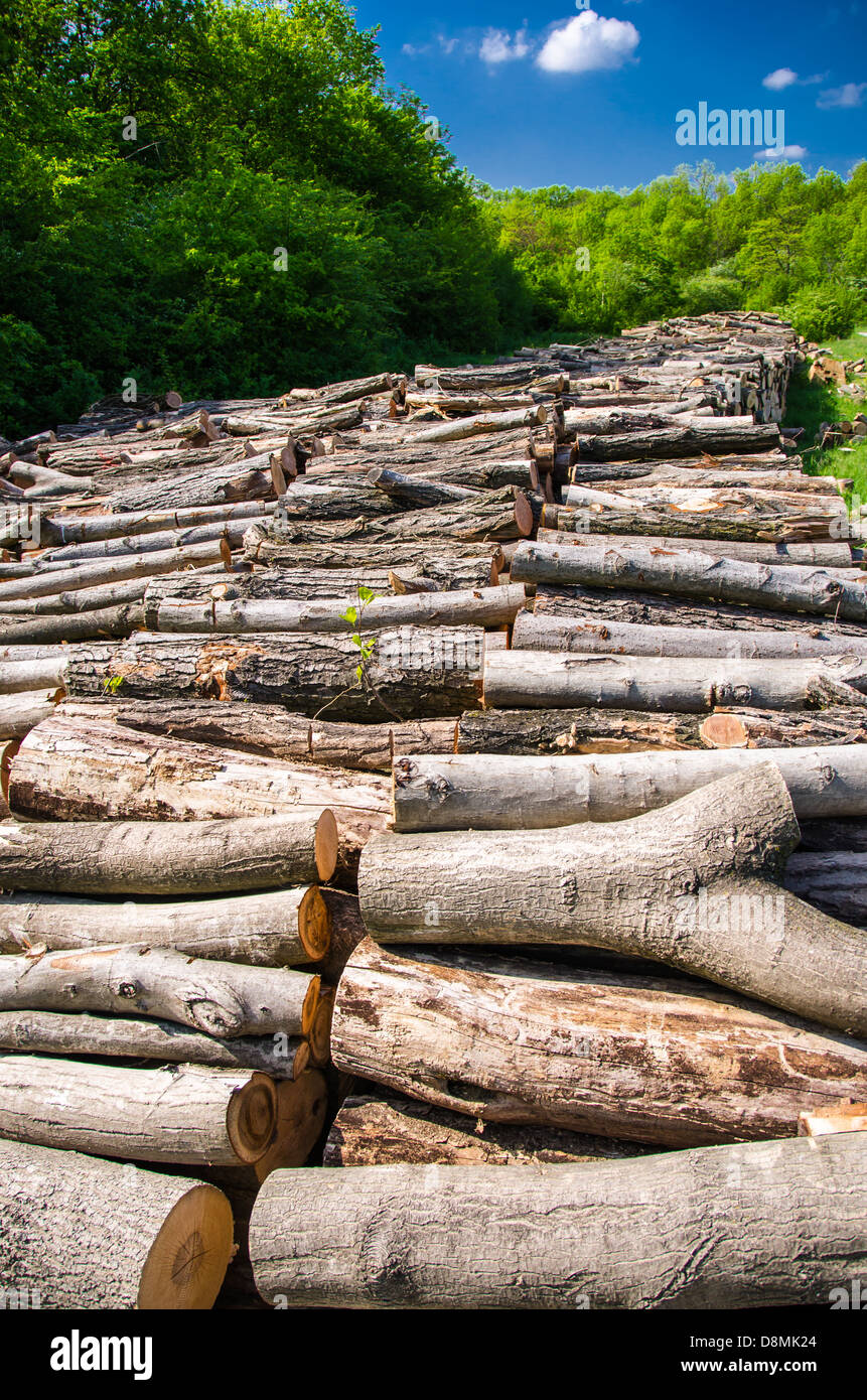 Pile Of Wood As Natural Renewable Resource Stock Photo - Alamy