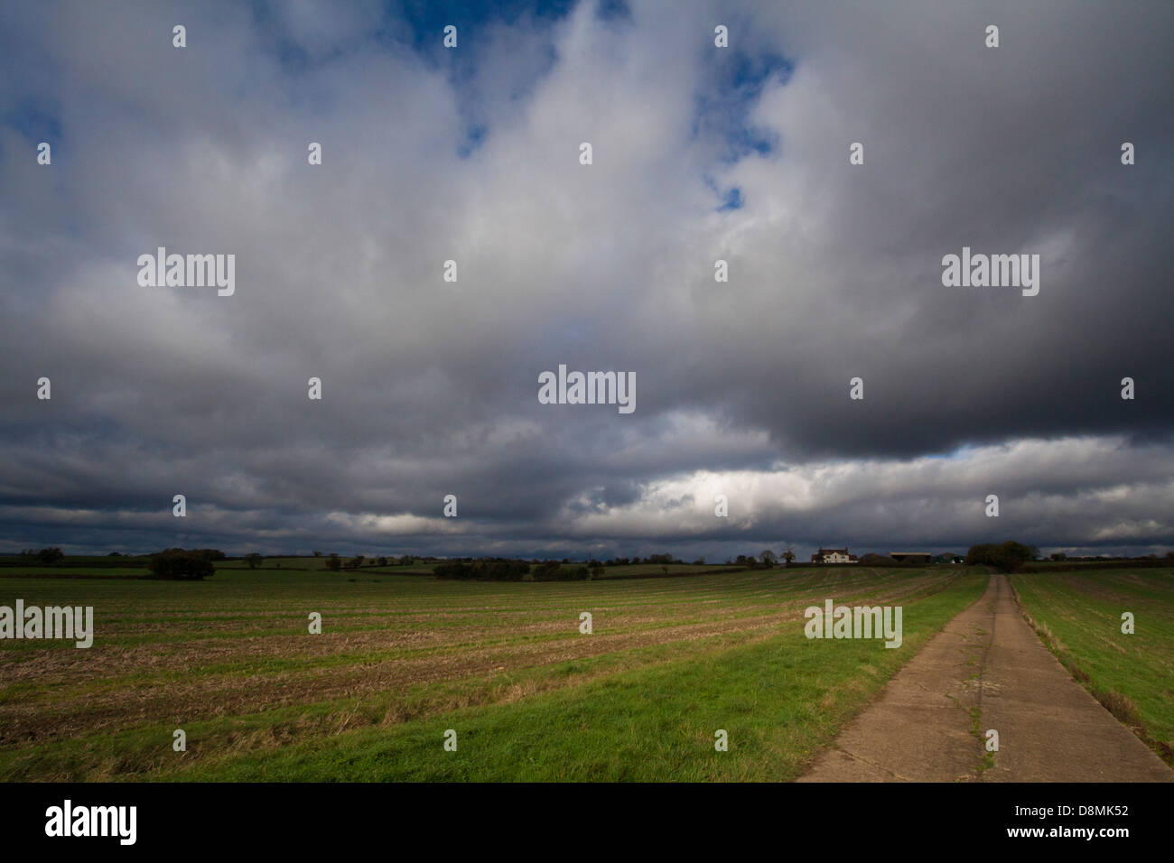 Open land and trees hi-res stock photography and images - Alamy
