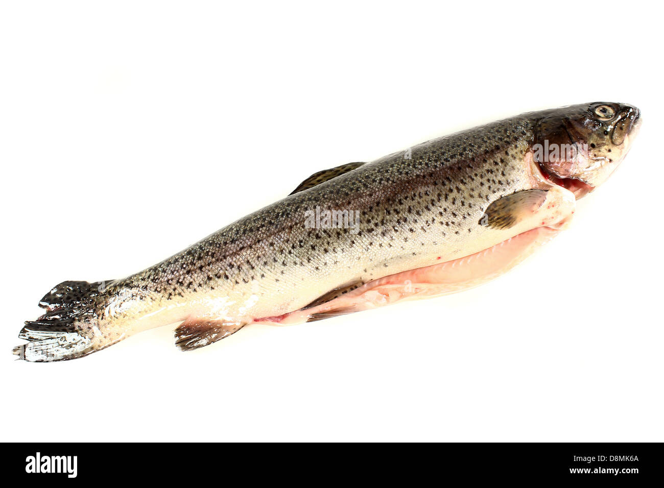 Forelle müllerin hi-res stock photography and images - Alamy