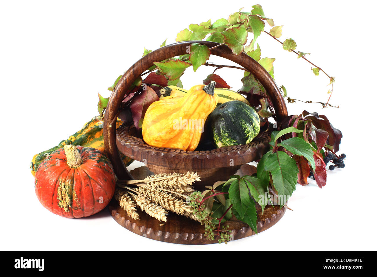 Ivy gourds hi-res stock photography and images - Alamy