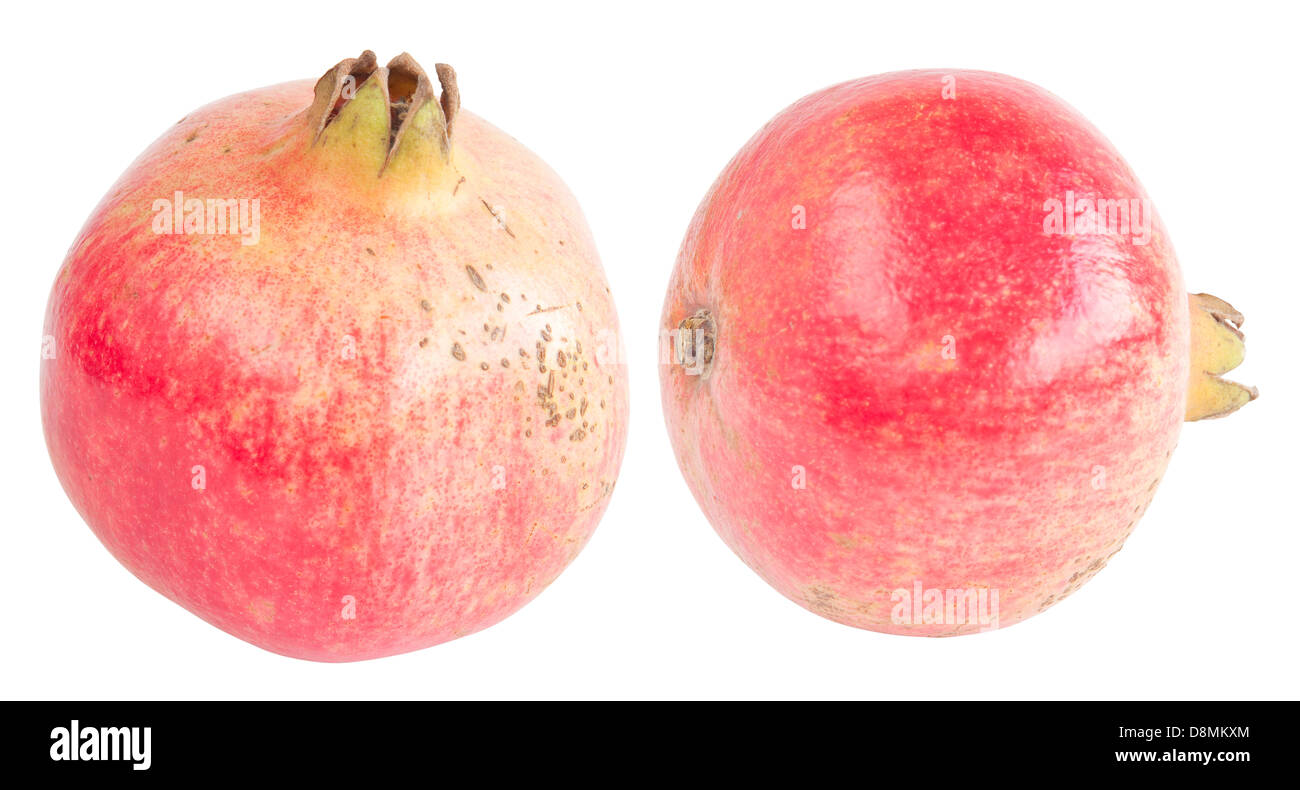 Tropi Cut Out Stock Images & Pictures - Alamy