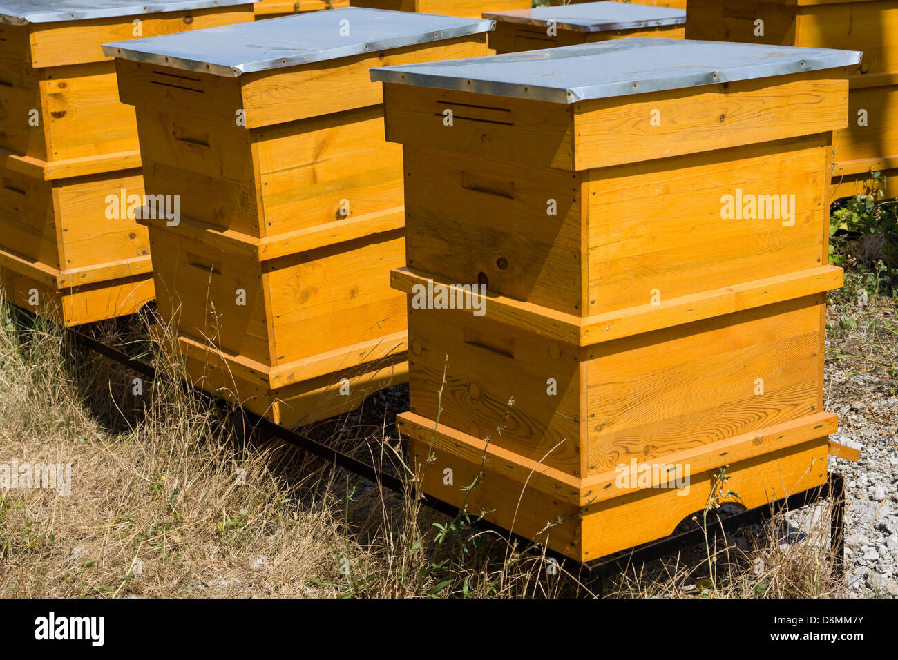 Beehives and beekeeping Stock Photo - Alamy