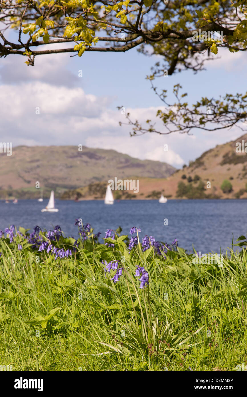 Lake district spring hi-res stock photography and images - Alamy