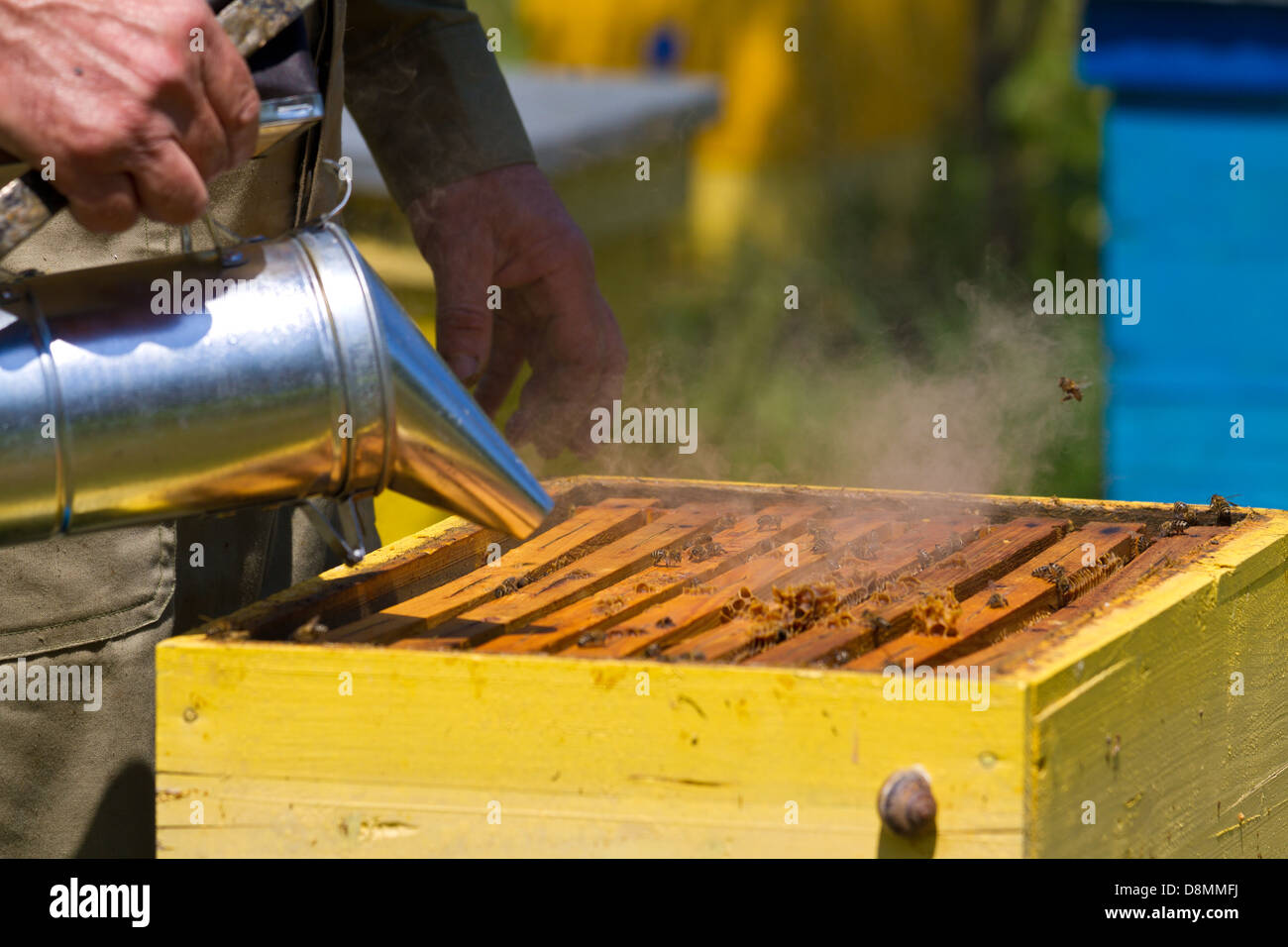 Beehives on meadow hi-res stock photography and images - Alamy