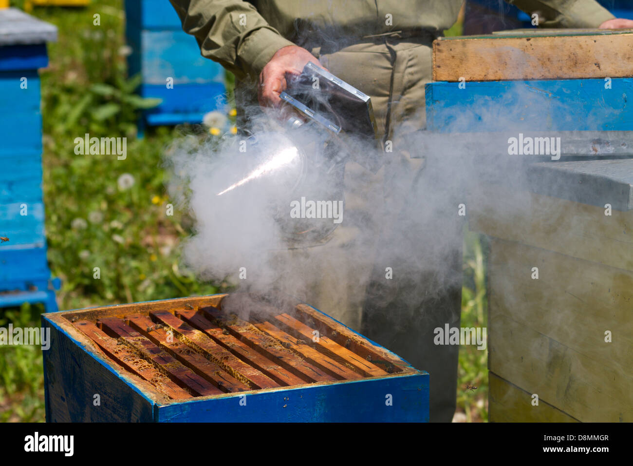 Beehive roof hi-res stock photography and images - Alamy