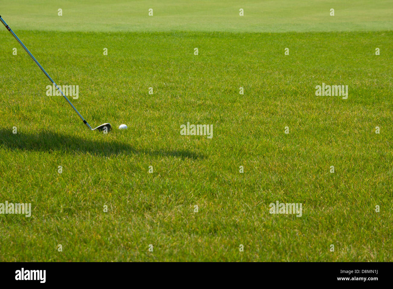 Golf course long grass hi-res stock photography and images - Alamy