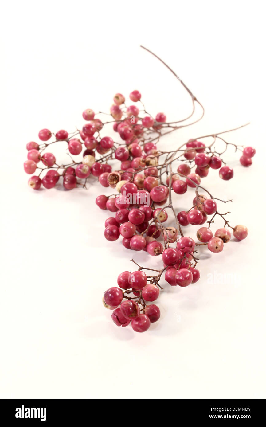 Pink peppercorns hi-res stock photography and images - Alamy