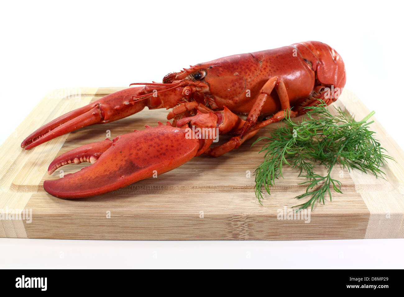 Lobster crack hi-res stock photography and images - Alamy