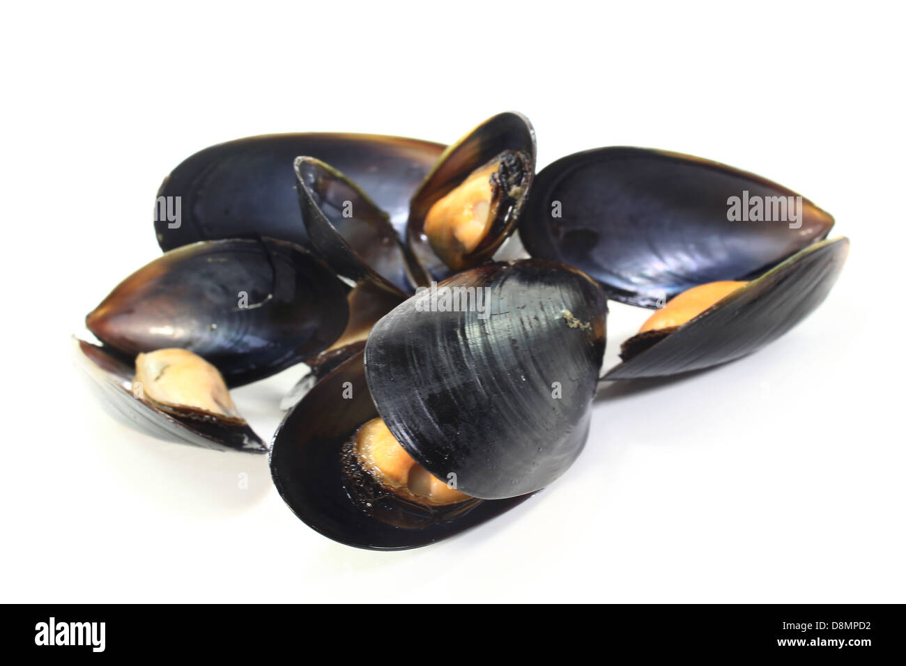 Salt water mussels hi-res stock photography and images - Alamy