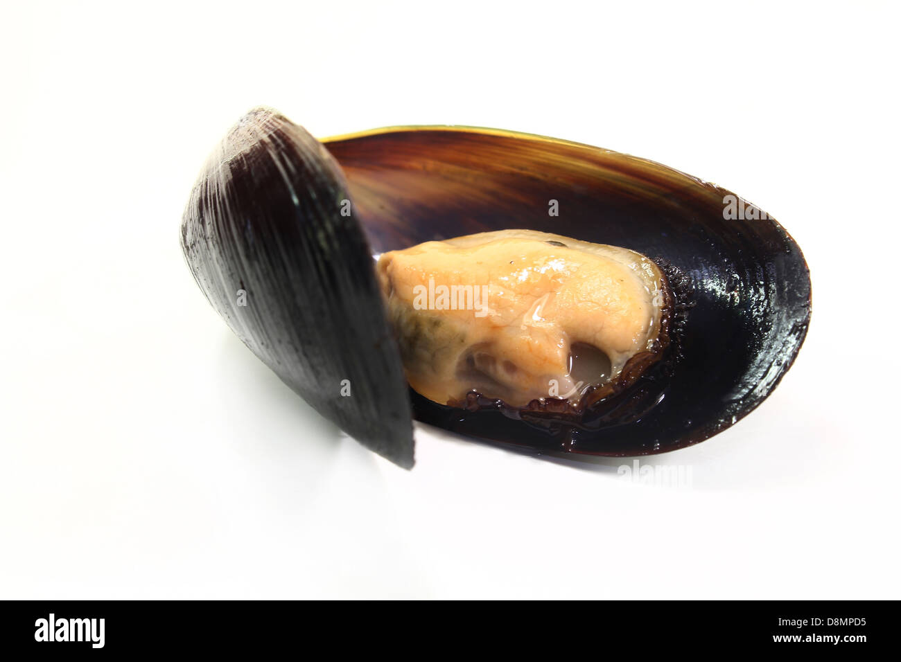 Salt water mussels hi-res stock photography and images - Alamy