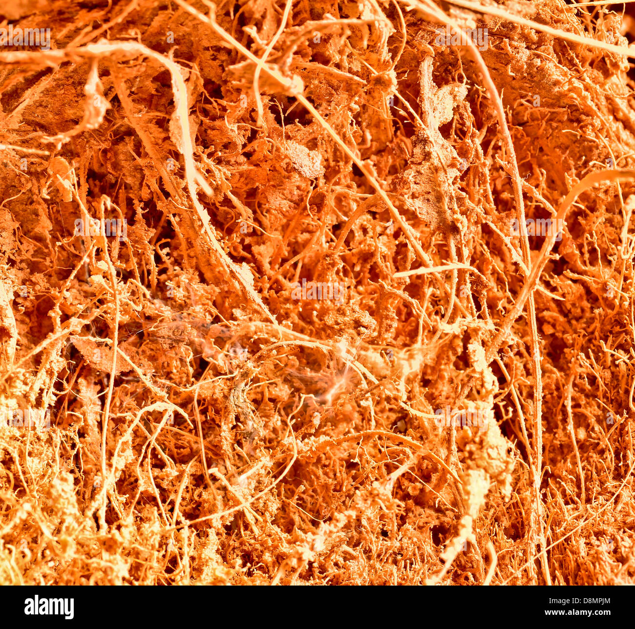 Coconut fiber hi-res stock photography and images - Alamy