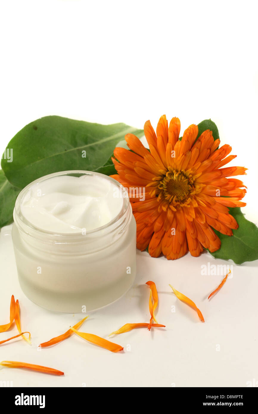 Calendula cream hi-res stock photography and images - Alamy